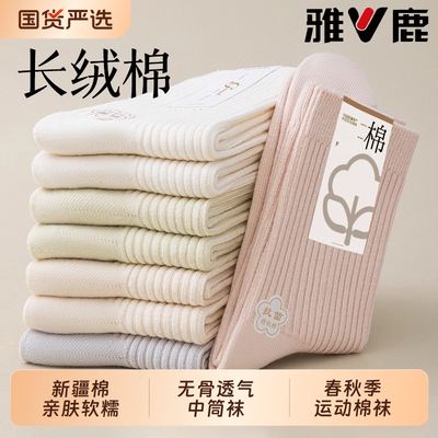 春秋季新疆棉防臭吸汗无骨中筒袜