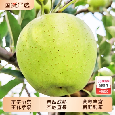 裕鲜生正宗山东烟台王林苹果