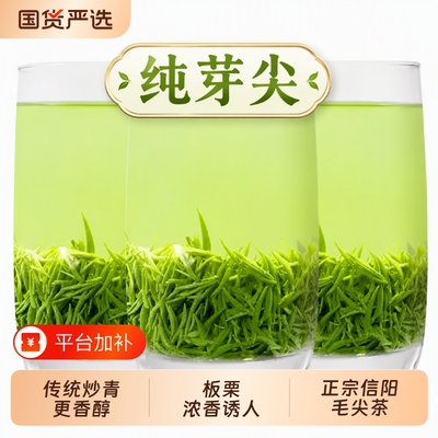 信阳毛尖明前特级|超1000次加购