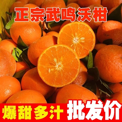 [福利]广西正宗武鸣沃柑新鲜桔子应季水果橘子当季薄皮非云南柑橘