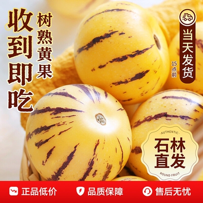 黄肉圆果，满口爆汁！