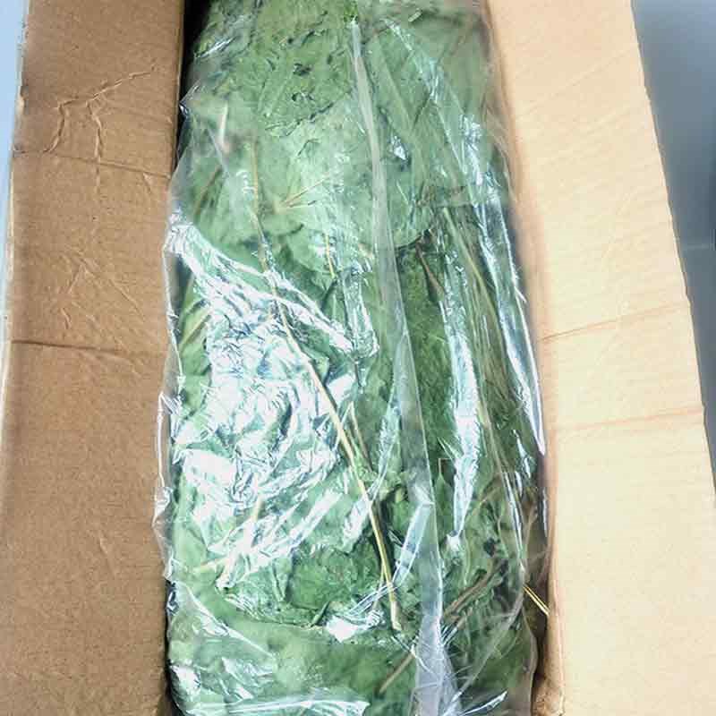 新品23年兔子大叶豆o蔻草营养高蛋白薄荷叶兔兔龙猫荷兰猪干草保
