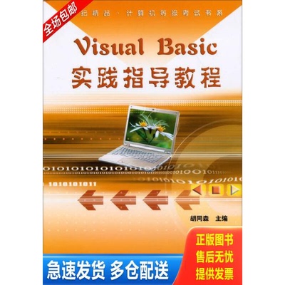 正版库存书世纪精品计算机等级考试书系：Visual Basic实践指导教程 9787534153303 胡同森 浙江科学技术出版社