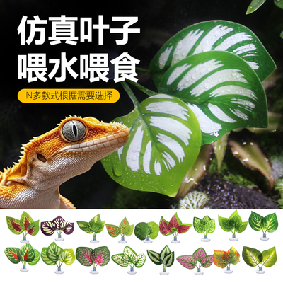 仿真叶子喂水器变色龙蜥蜴树蛙