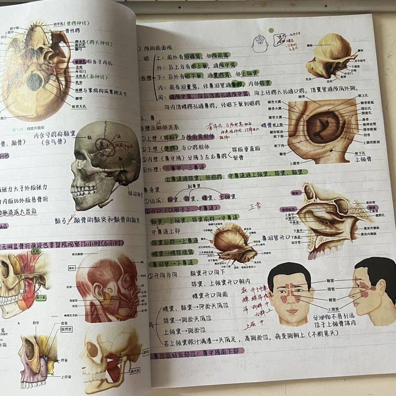 升级版霍琨系统解剖学笔记本彩色打印胶装笔记本