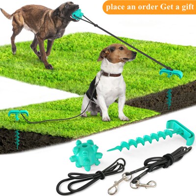 极速Outdoor pet leash dog fixing naFil bolt dog ground nail