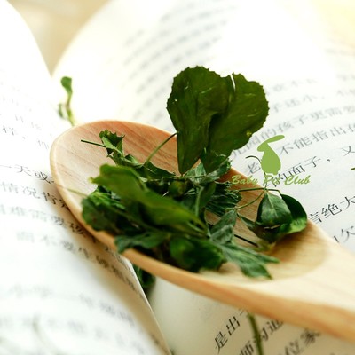 极速苜蓿草叶子紫花苜蓿叶500g兔E子草粮干草龙猫饲料草荷兰猪陆