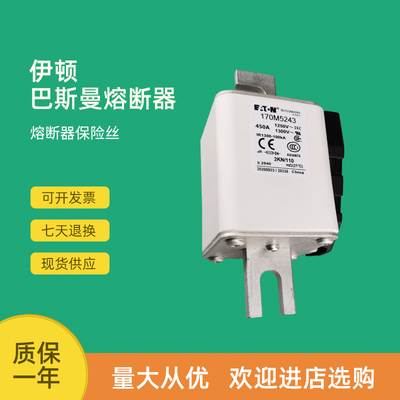极速全新快速熔断器保险170M5265 170M5266 170M5P267 170M5268