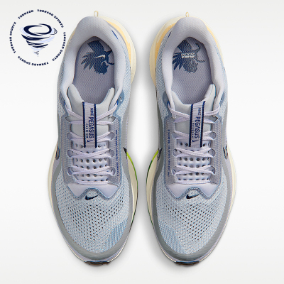 Nike/耐克正品Pegasus Premium 男士缓震经典跑步鞋IR1815-012