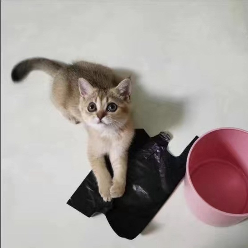 热销猫屎袋铲屎垃圾袋小号猫咪便便D袋拾便袋铲屎器宠物铲屎一次