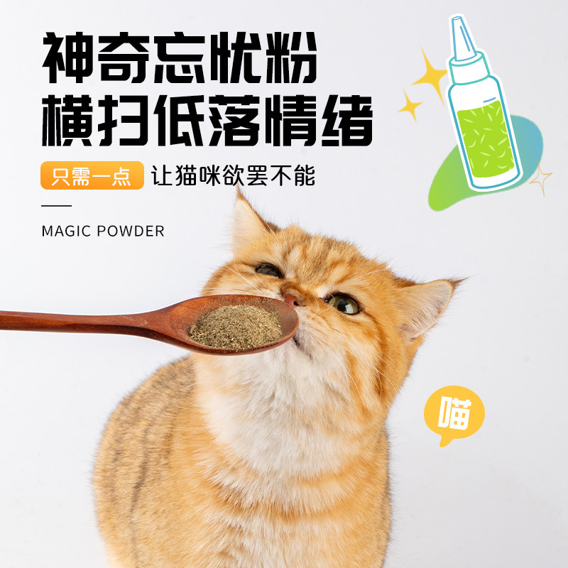 极速猫薄荷球罐装棒棒糖木天蓼磨牙棒G猫酒猫咪零食化毛球猫草喷