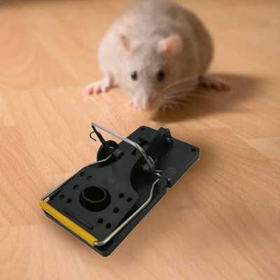极速Householdi Rat Trap Indoor Plastic Mouse Catcher Reusabl