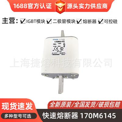 170M6145170M6142快速熔断器保险丝电子元器件量大价优