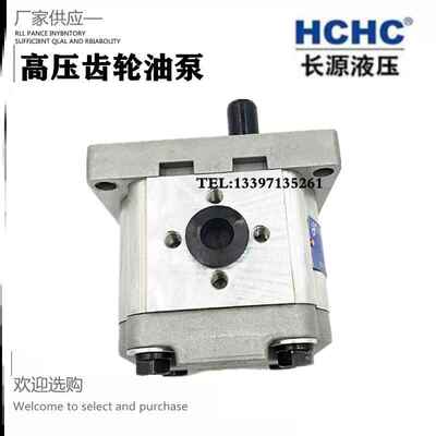 新款包邮合肥长源齿轮油泵CBW-F304/306/310-AFPL/CLPL/ALP/CLP高
