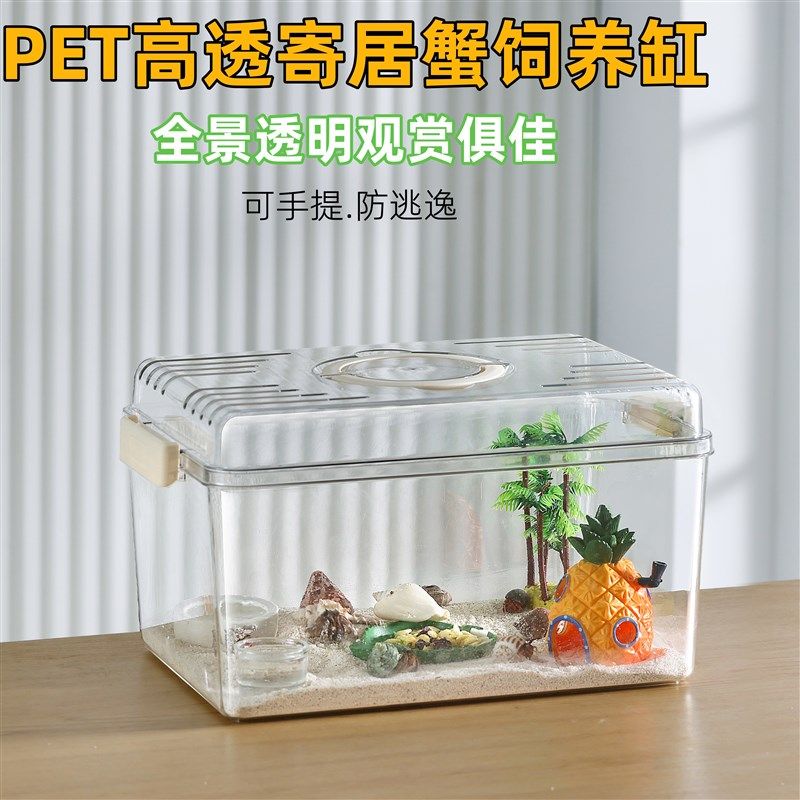 寄居蟹饲养箱套装小型桌面爬宠盒相手蟹生态养殖箱乌龟饲养缸手提