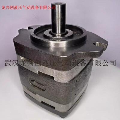 福伊特齿轮泵IPVAP4-13-171液压泵IPVP6-125-101泵IPVP6-125-111