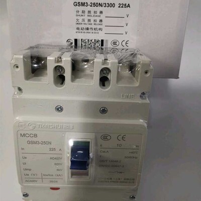 原装正品 天水二一三塑壳断路器GSM3-250N /3300 100A~ 250A