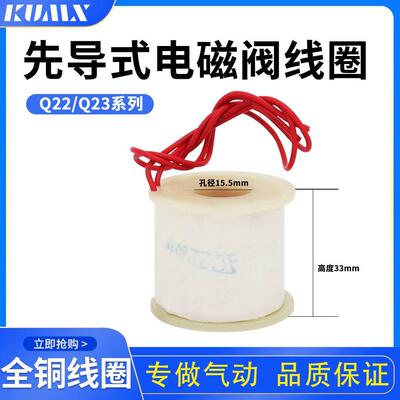 先导阀线圈 Q23XD-2L Q22XD-2L电磁阀线圈 AC220V AC36V DC24V