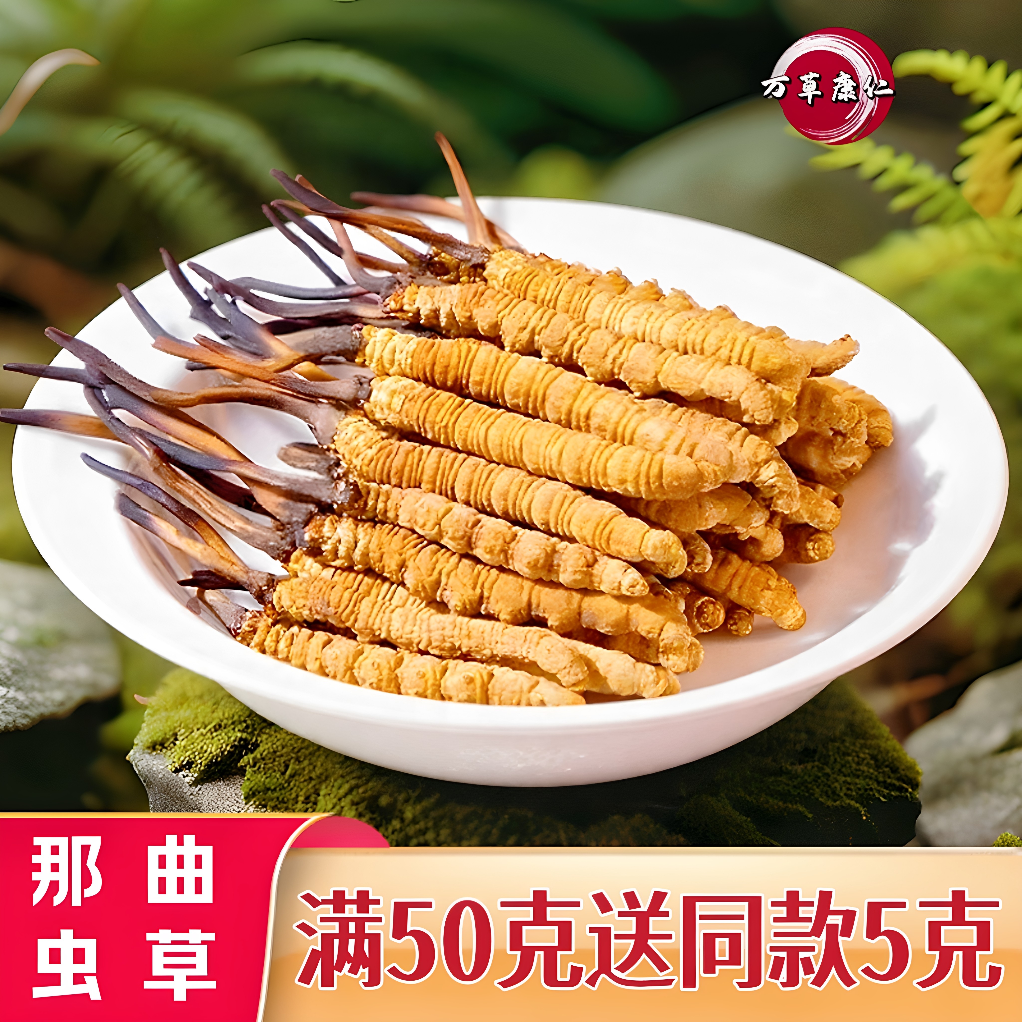 冬虫夏草官方旗舰店正品那曲头期虫草冬虫干货送礼礼盒装自己吃