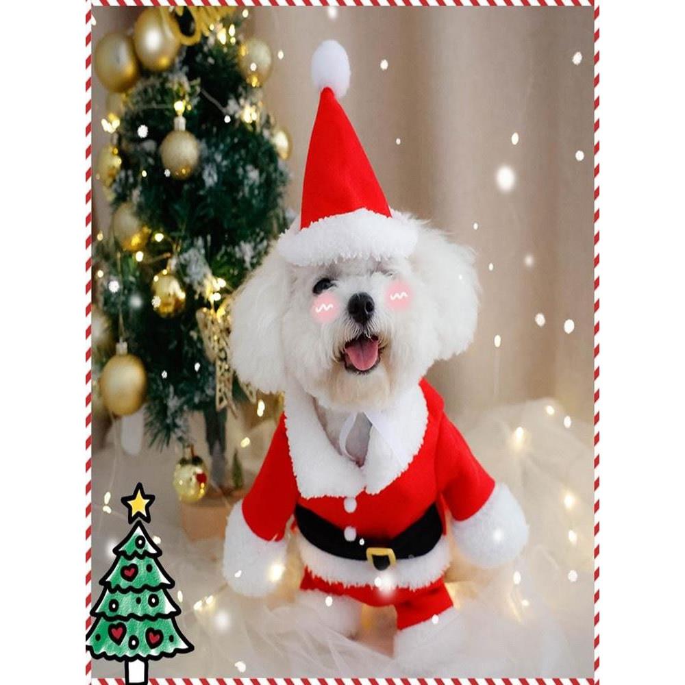 宠物秋冬装可爱狗狗圣诞衣服泰迪比熊小型犬新年过年冬季猫咪服饰