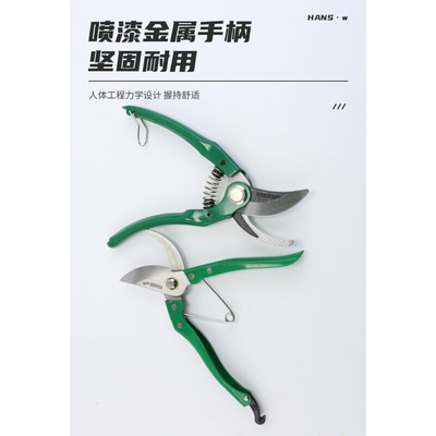 。正宗台湾汉斯工具 铁柄园艺剪 绿化剪园林剪修枝剪花枝剪 HS401