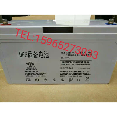 。双登蓄电池6-GFM-120 12V120AH铅酸免维护UPS直流屏EPS船舶太阳