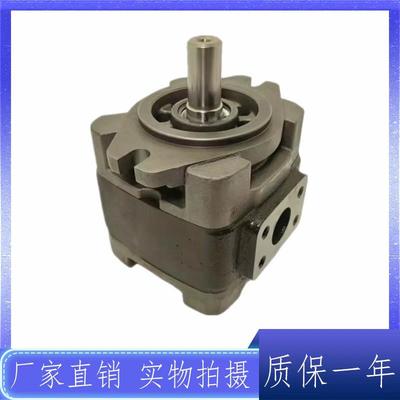 美国SUNNY海特克CPO/HG0/CP1-16/08/10/13/20-P-10R折弯机齿轮泵