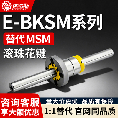 滚珠花键E－BKSM-D13 D16 D20 D25 D30-L550L600L650L700L750L800