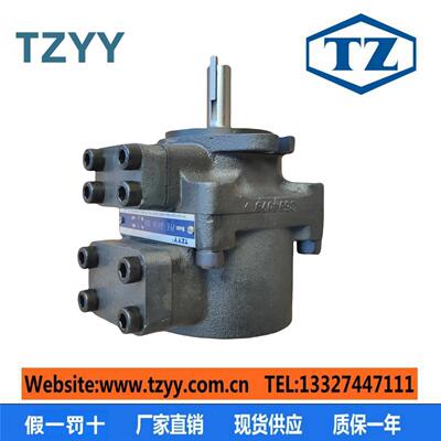 正品太重TZYY榆次液压阿托斯叶片泵油PFE-31016 22 28 36 44-1DT