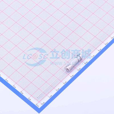 一次性保险丝 0216.100MXEP 插件,D5.6xL21.5mm 原装正品