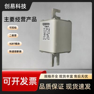 170M5163 170M5164 170M5165 170M5166 170M5167 170M5168保险丝