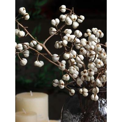 小白果乌桕果花束装饰品家居干花干树枝花瓶插花摆件diy手工