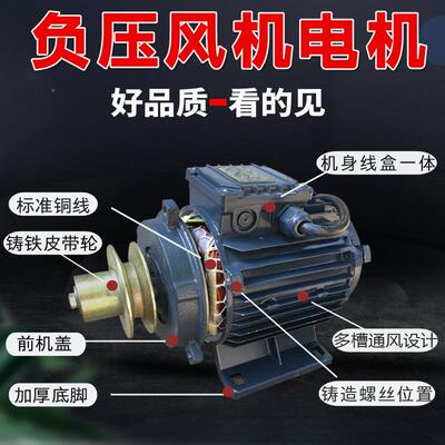 负压风机专电工业养殖用厂场换气机扇80V电动排风扇CZI电机马达配