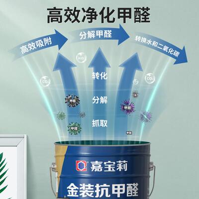 乳胶漆室内家FH-KRM42醛用墙内墙金装抗甲油漆自刷味涂料净五合一