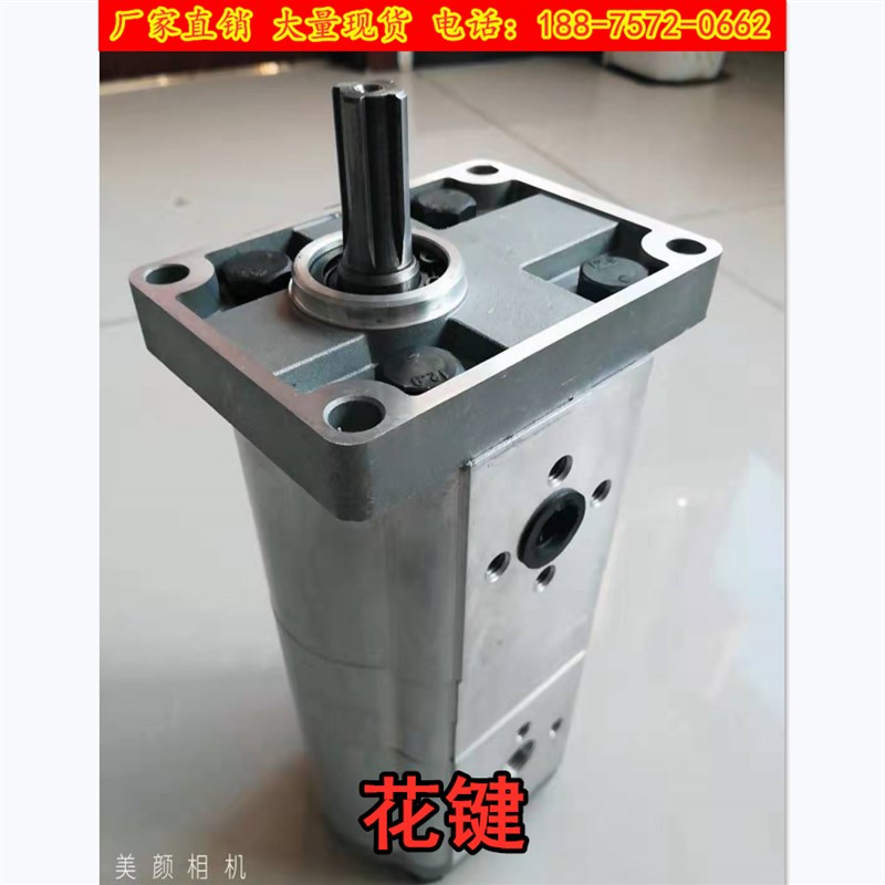 河北众德液压齿轮泵CBT-F304,310,314,316,320,325
