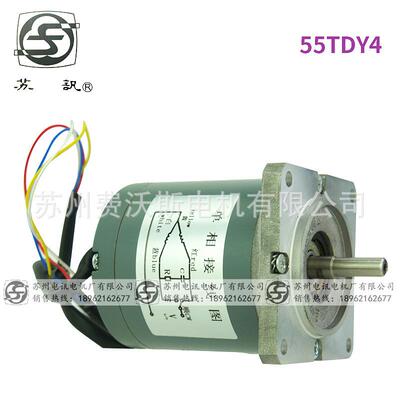 55TDY4扁平轴永磁低速同步电动机有限公司铜芯