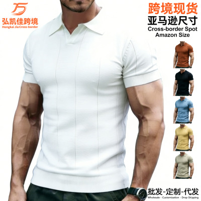 POLO衫短袖针织衫T恤男海鸥领V领条纹老钱风夏亚马逊跨境工厂批发