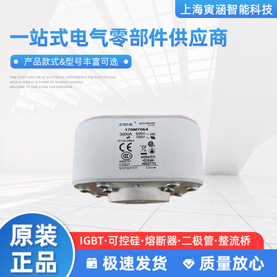 直流快速熔断器170M6714 170M6723 170M6734 170M6752 170M6766