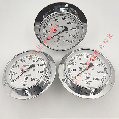 IPT-341D-1600kPa日本DK一计器压力表DAIICHIKEIKI测量精度1.0