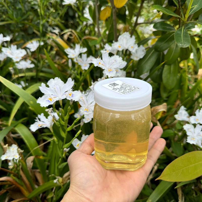 纯正蜂蜜正宗洋槐天然野生槐花蜜成熟农家自产深山百花原蜜一斤装