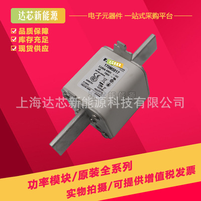 170M5971 170M5972 170M5973 170M5974 170M5975全新巴斯曼熔断器