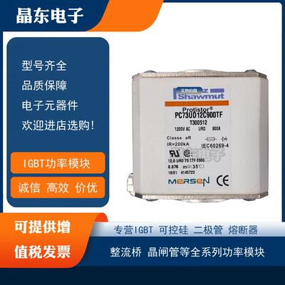 PC73UD90V13CTFT300696PC73UD85V14CTFS300718原装罗兰熔断器
