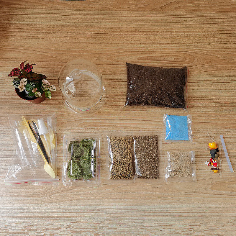包邮生态瓶苔藓微景观diy套y装植物玻璃罩瓶材料暖场活动手工盆栽