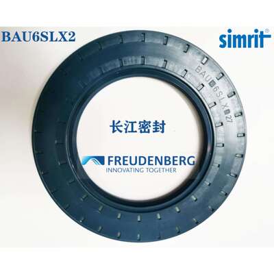 德国SIMRIT油封CFWBAU6SLX2120-180-12120-140-13进口骨架密封