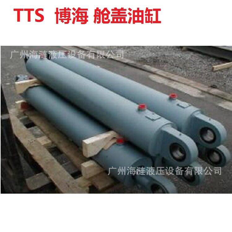 TTS液压缸密封包油缸规格Φ250*Φ160*1060型号357-9310