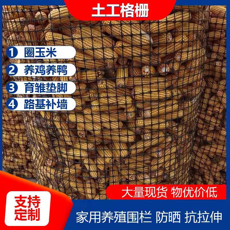 塑料养鸡菜地鱼塘小孔护t栏隔离2厘米网孔育雏鸭鹅漏粪围网养殖