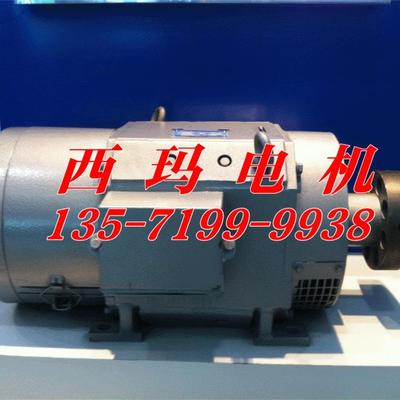 西安泰富西玛ZTP-120.8KW铁路用电机
