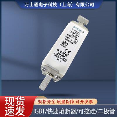 170M2614/2615/2616/2617/2618/2619/2620/2621全新熔断器现货