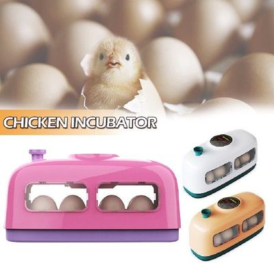 Multi-functional Heat Preservation Hatching Box 8 Egg