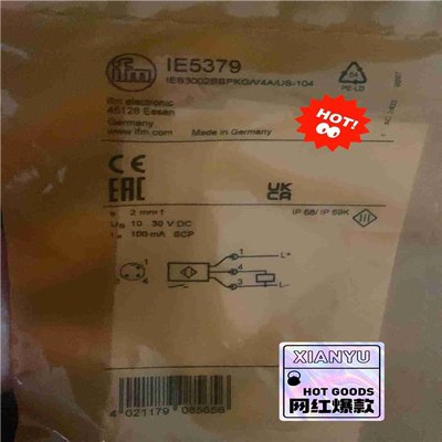 (议价)易福门IE5379